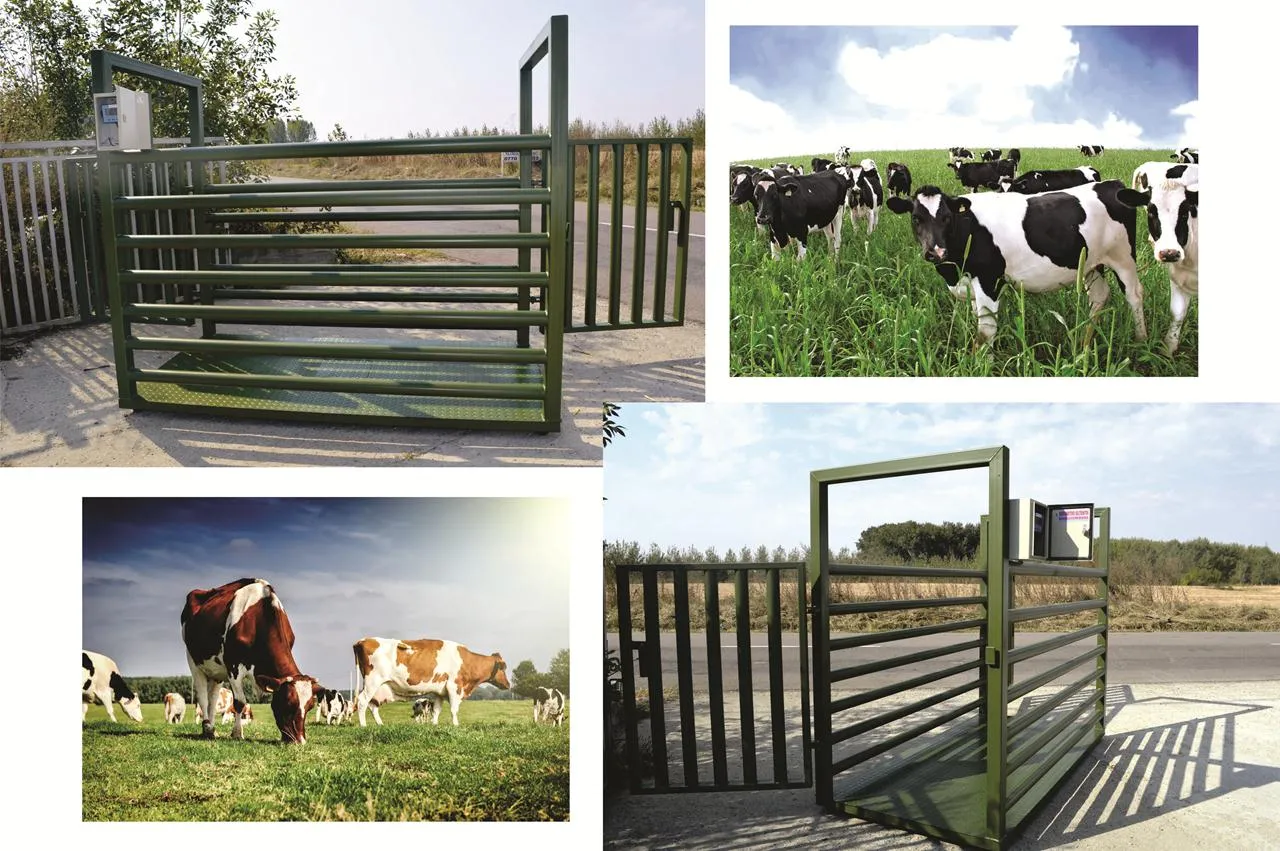 Cantar pentru animale mari | Servmetro